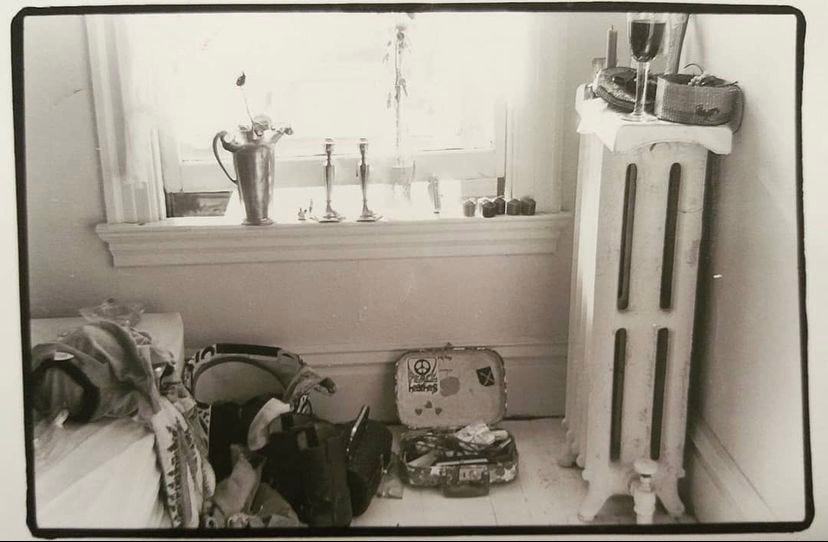 Demri Parrott's Activism History - by Helena Harland