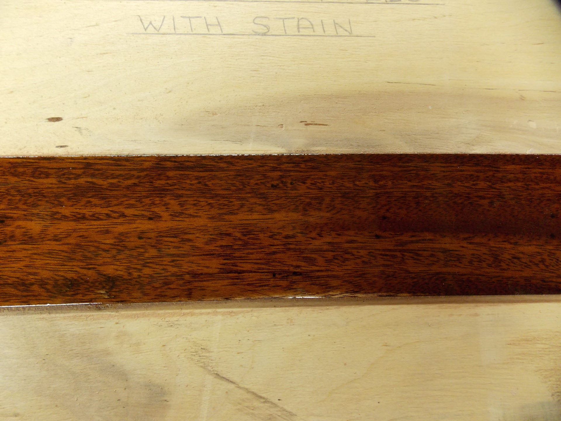 Raptor Plastic Staple to Metal T50 Staple Comparison