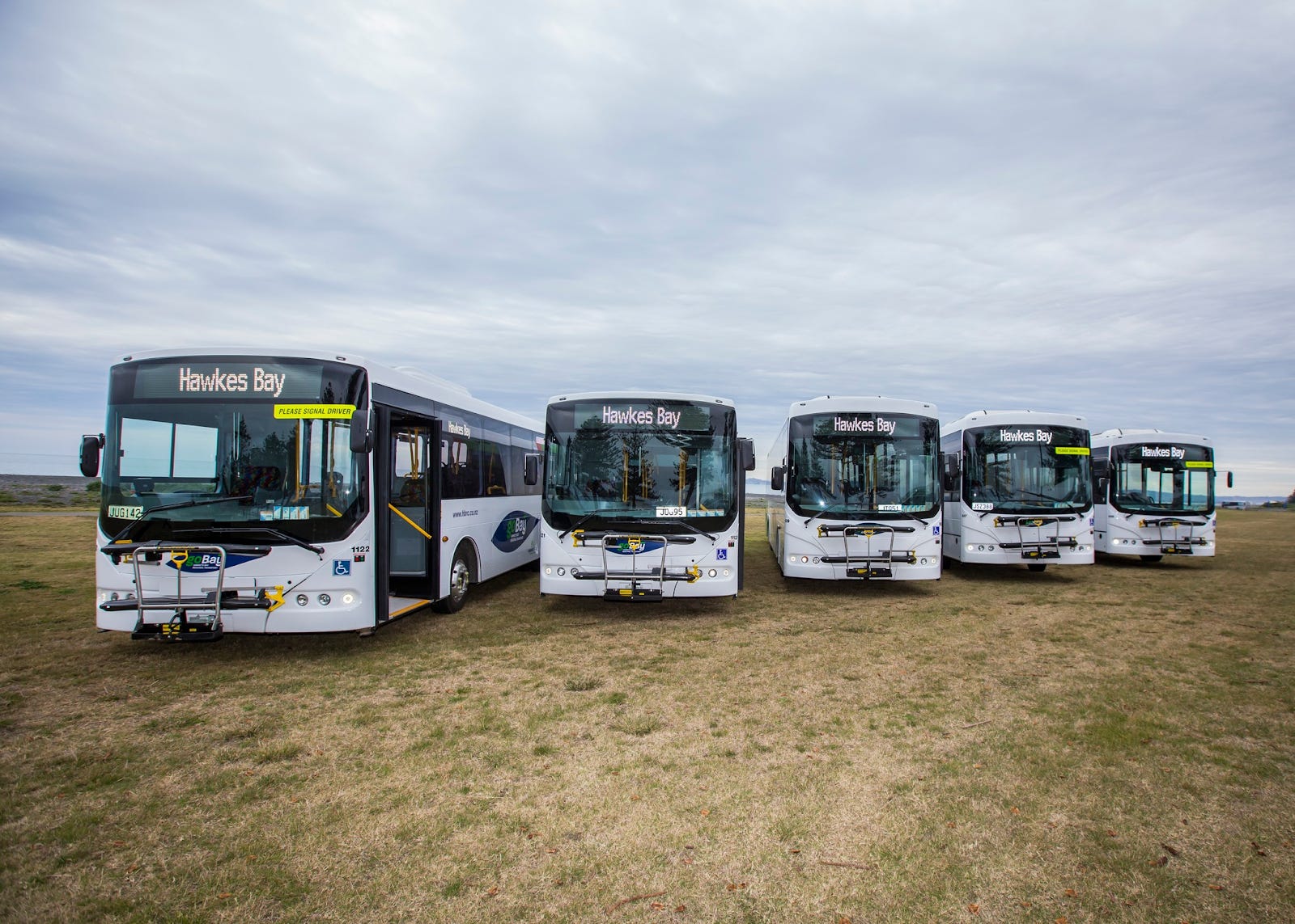 Weekly Review No.18 - by Grady Weatherley-Connell