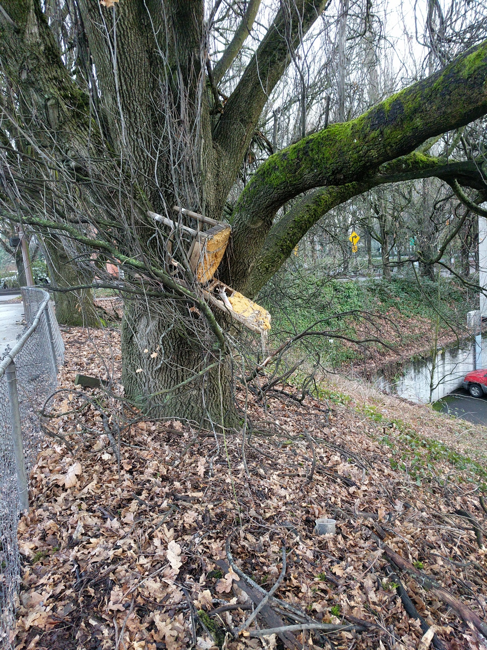 Meta Neo Post Modern No More: Version Numbers for Movements