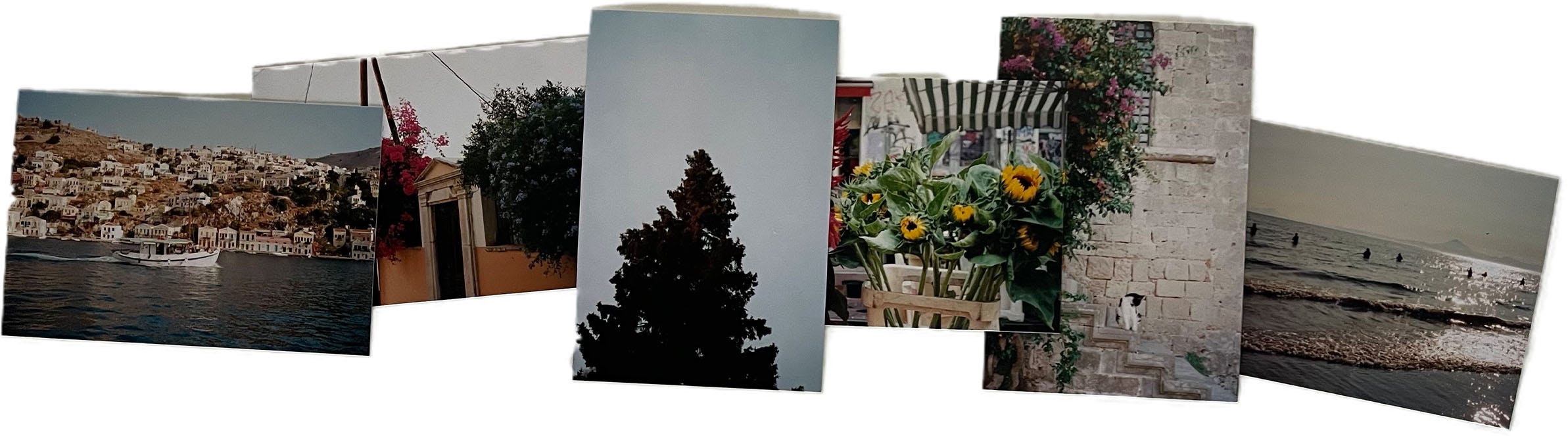 Q&A: Inspiration and personal voice - by Julia Bedell