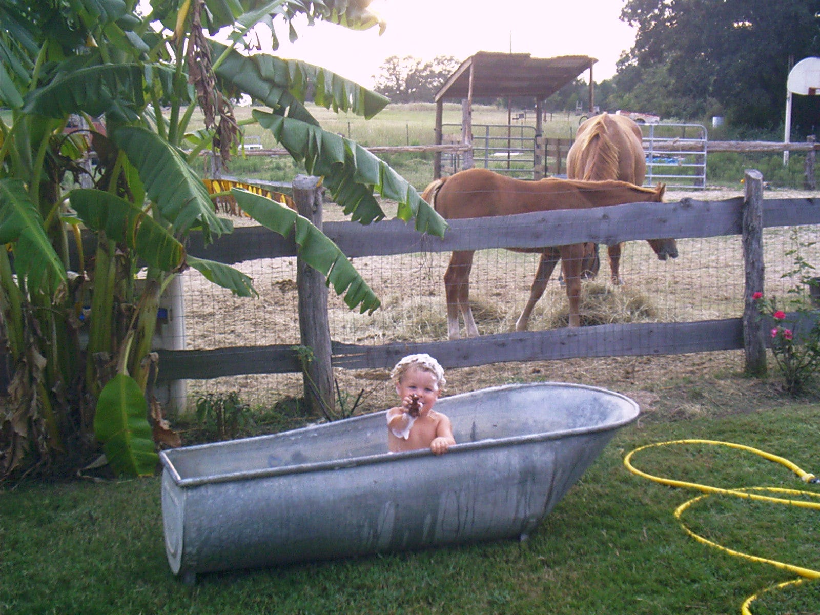 Coincidental Joy - by David M. Poff - Hermit Chronicles