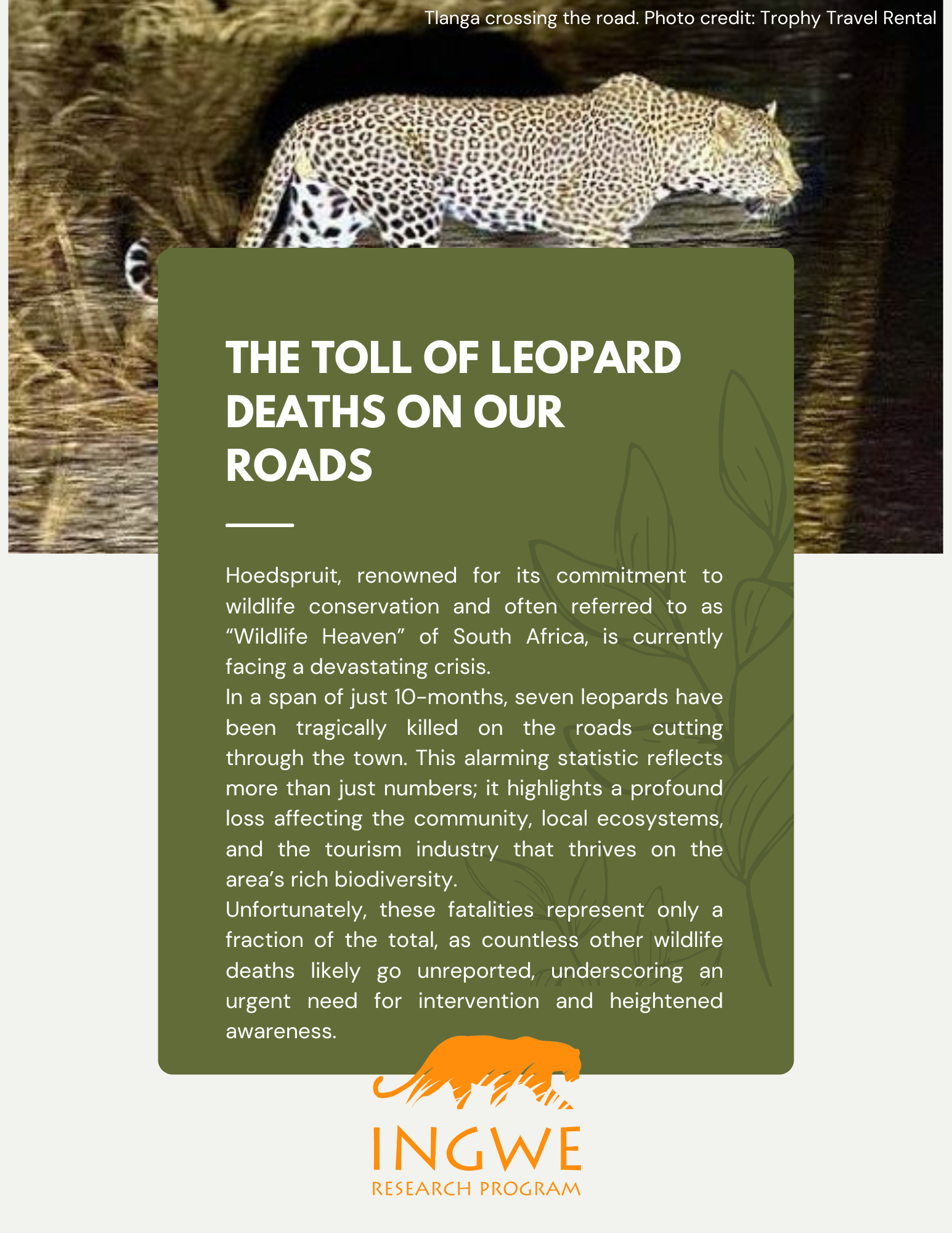 Newsletter - November & December 2024 - by Marine