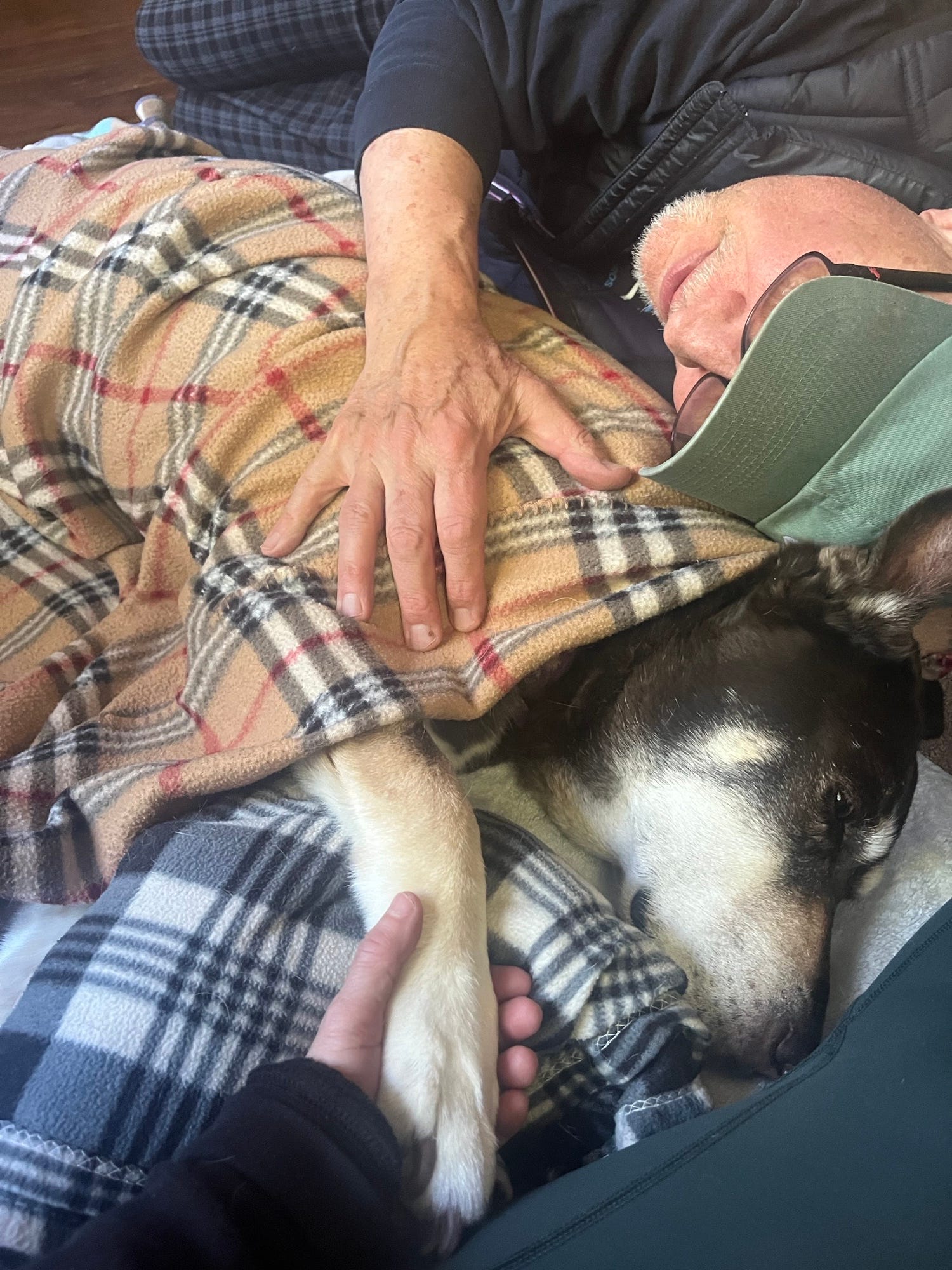 Big brown eyes - by Whispers of Joy - Dawn’s Substack