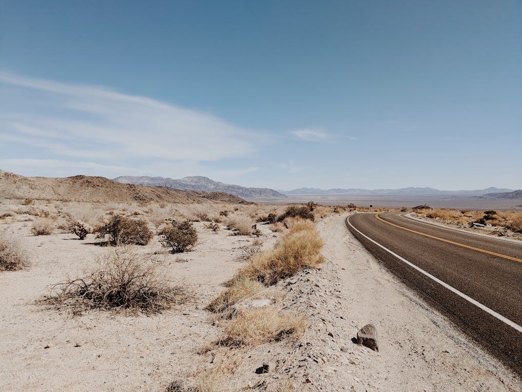 An ode to staying - by Lisa Olivera - Human Stuff