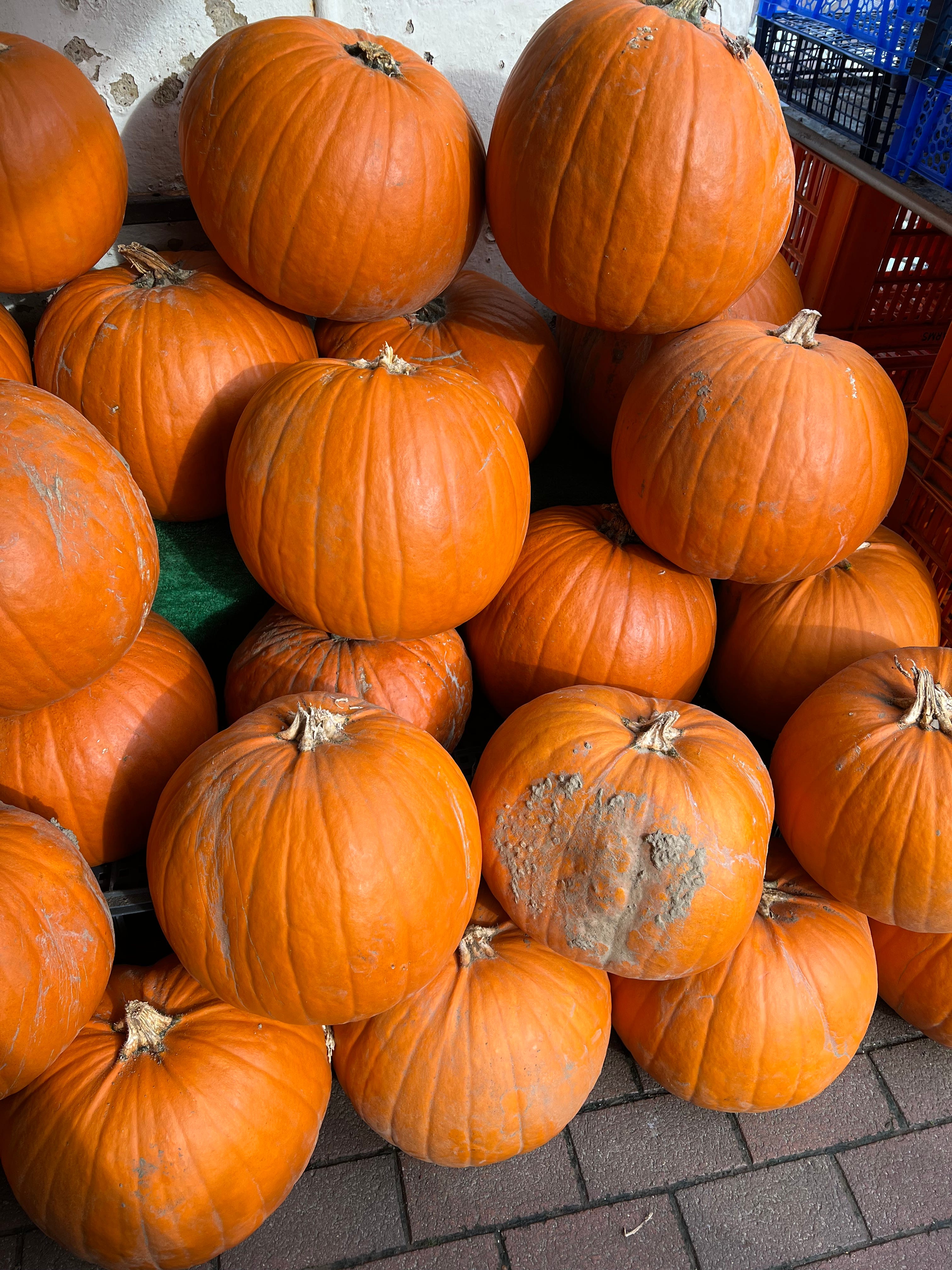 Introducing ‘The Sunday Slice’ - by Rosie Birkett