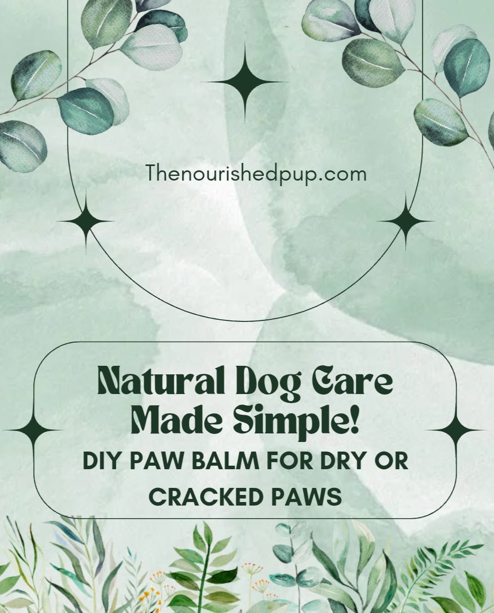 DIY Paw Balm for Dry or Cracked Paws - The Nourished Pup
