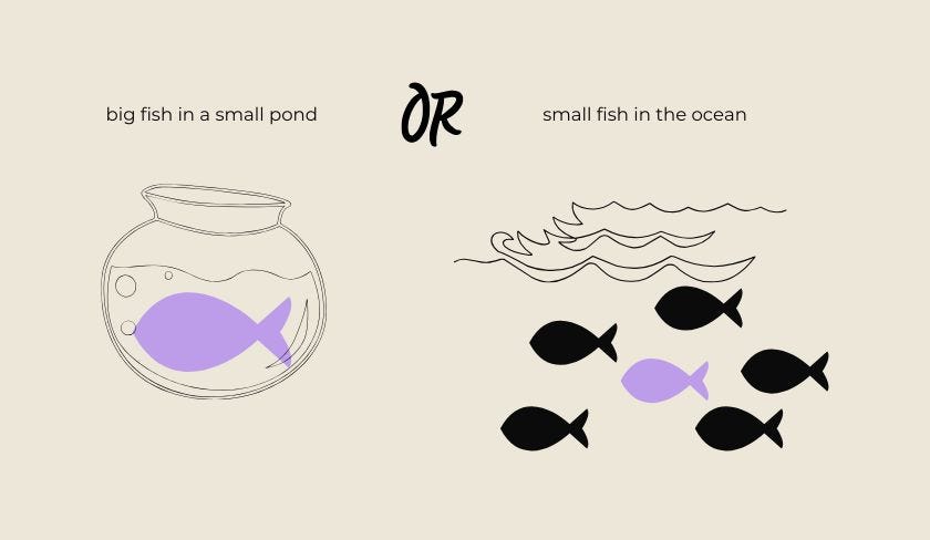 OMG, I Just Pivoted My Substack! - by Andi Bitay