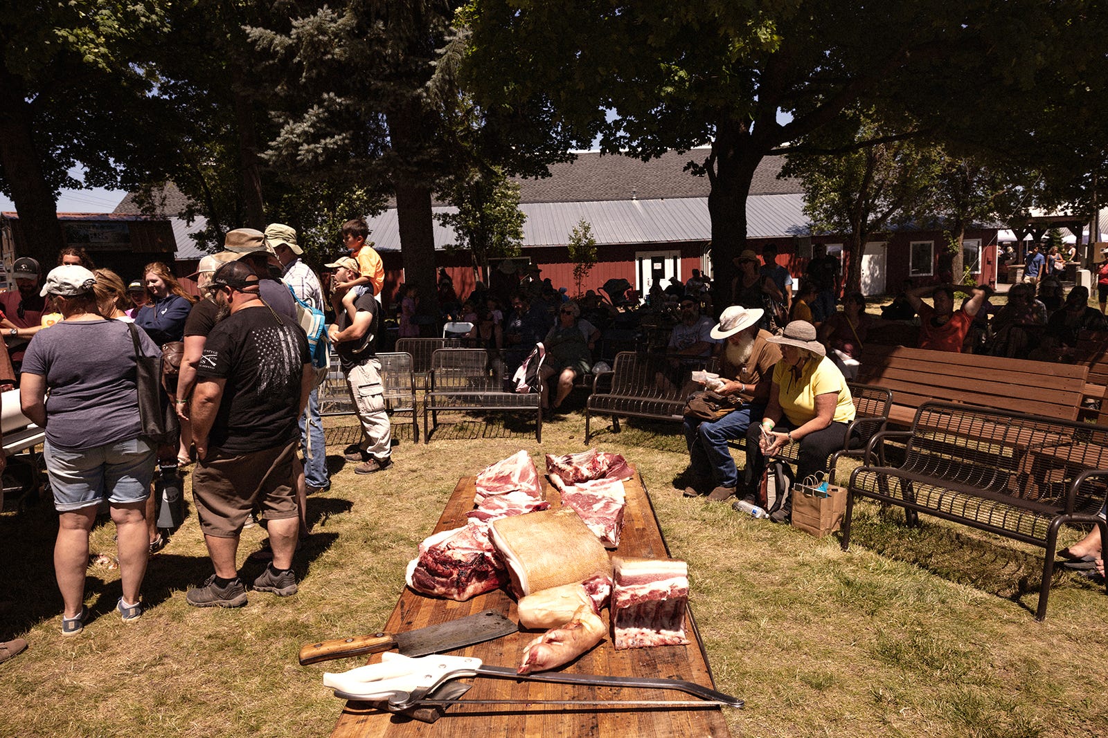 The New American Homesteaders - by Olivia Reingold