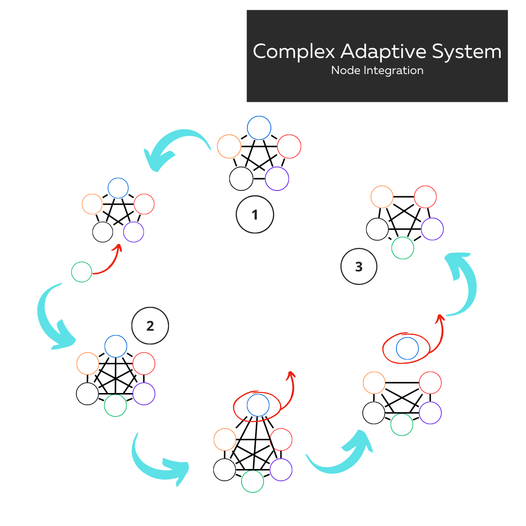 Complex Adaptive Systems, Part 2 - by Mike Hobart
