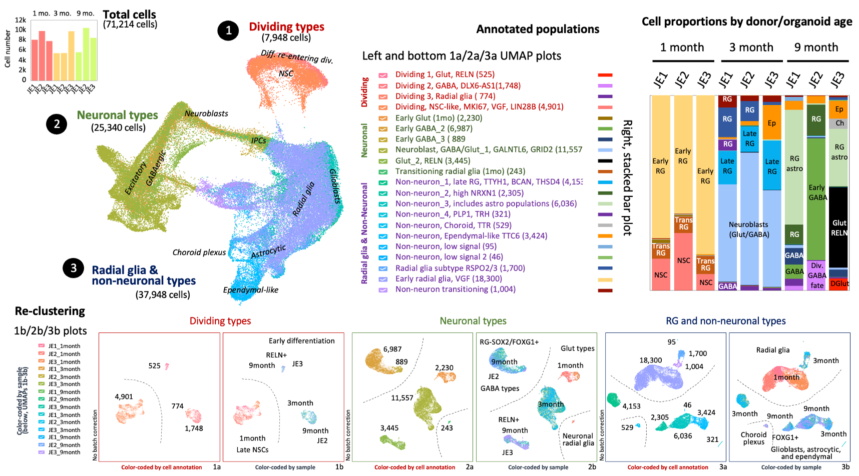 Reelin groovy - by Ethan O. Perlstein, Ph.D.