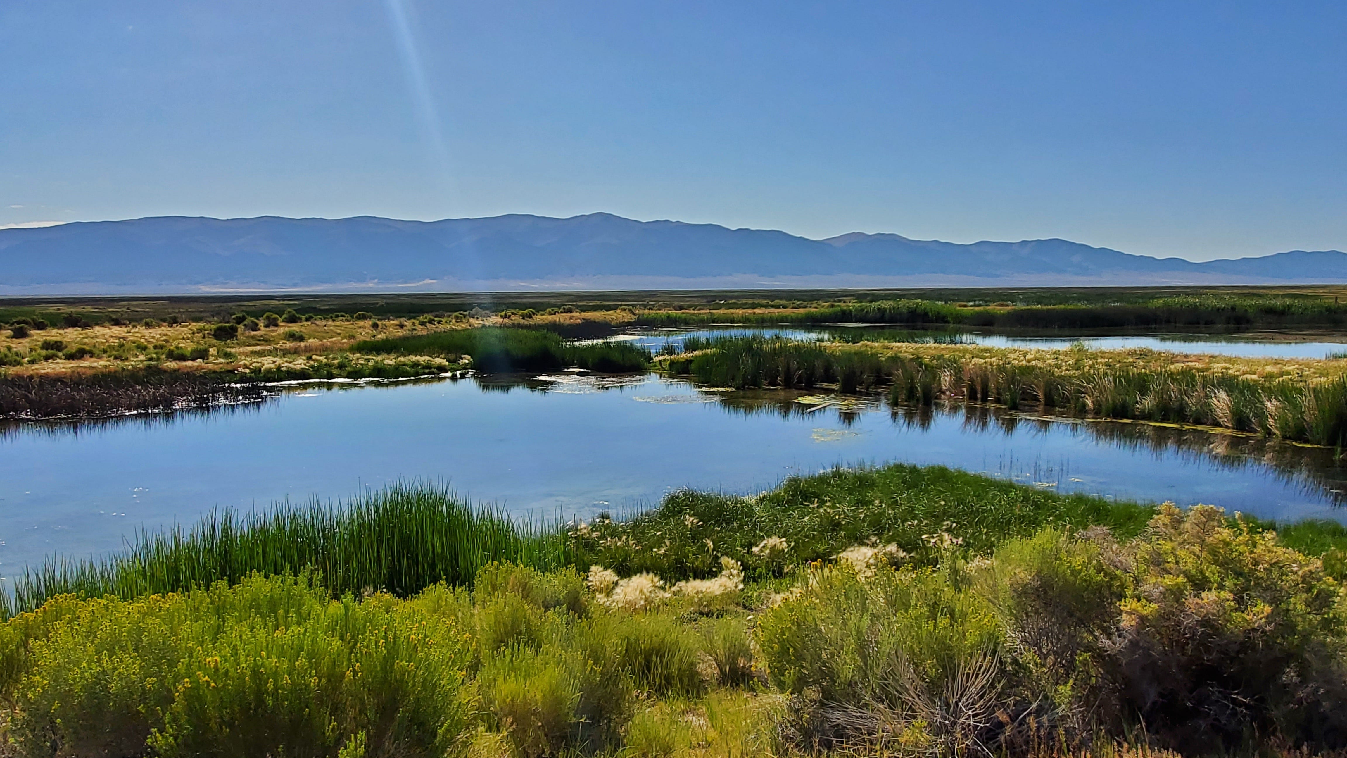 Sage and Sand: Pushing Nevada Water Law Toward Conservation