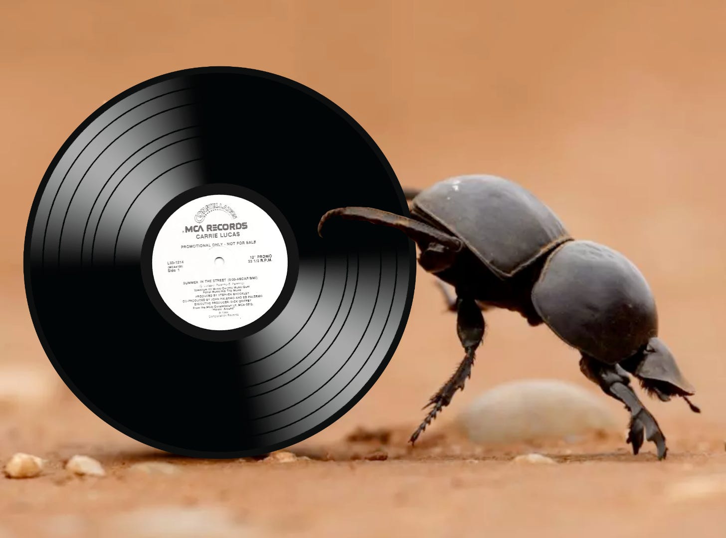 Why do we track music? - by Callum Booth - The Rectangle