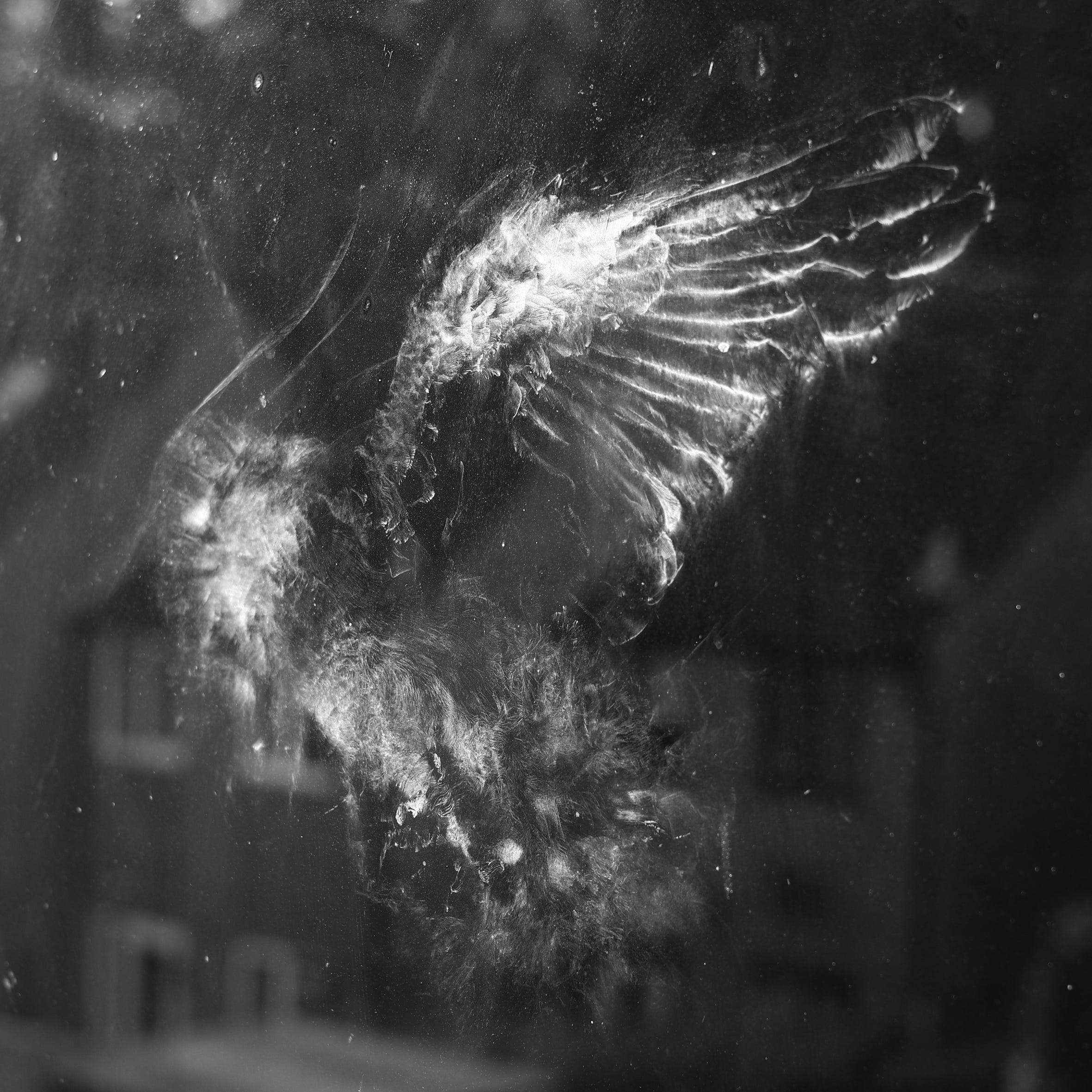 The Critical Path - by Rory Unplanned - Rory’s Substack