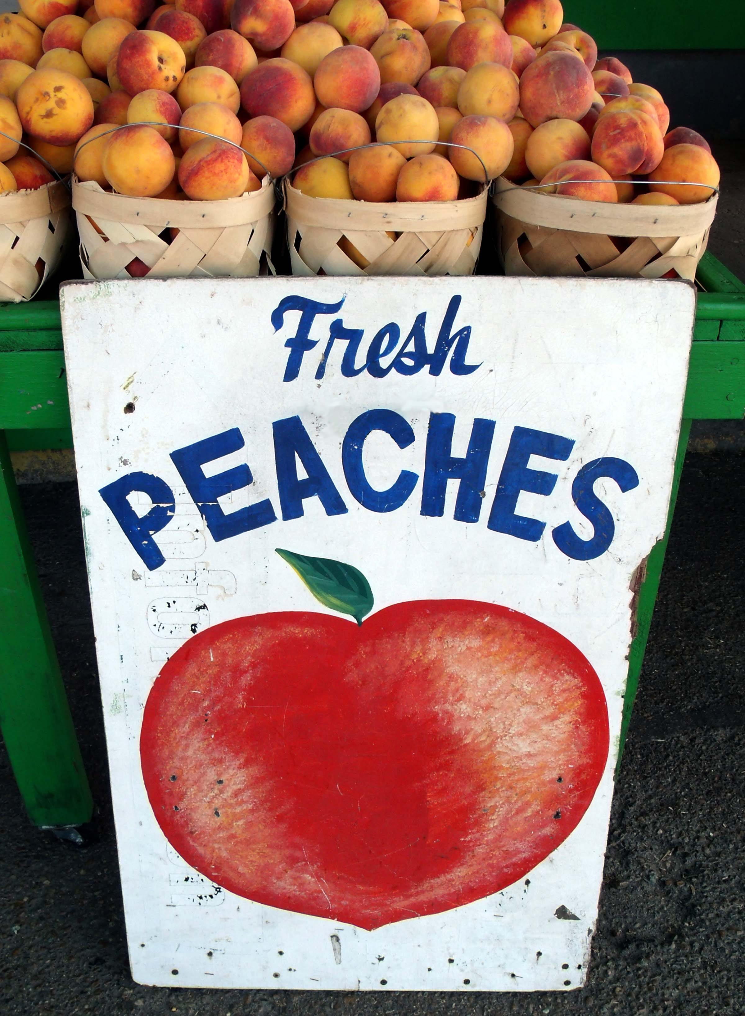 Mississippi Sideboard #2: Chasing Dragons - Rooted Magazine