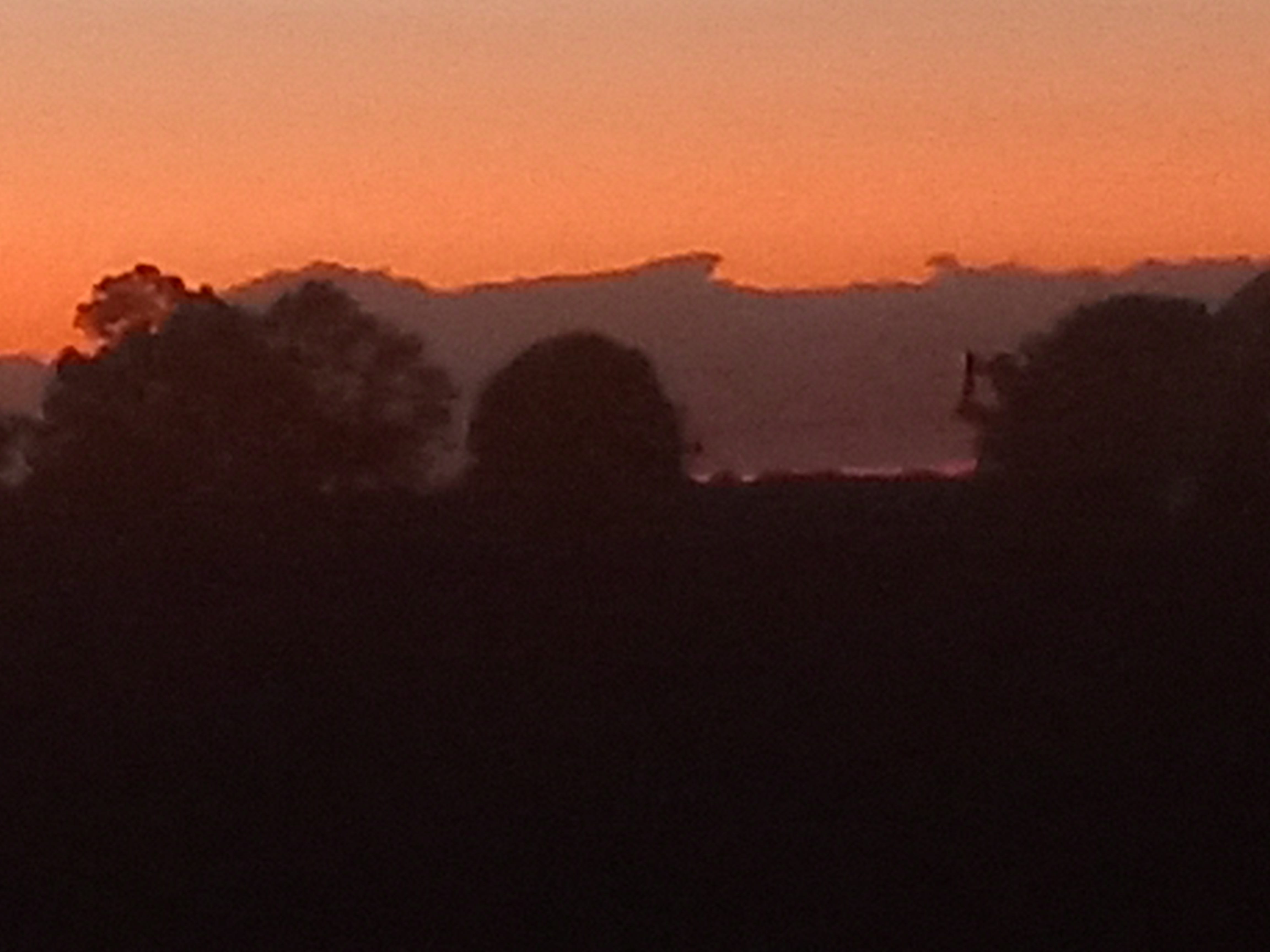 Sky - MamaForestCritter’s Substack