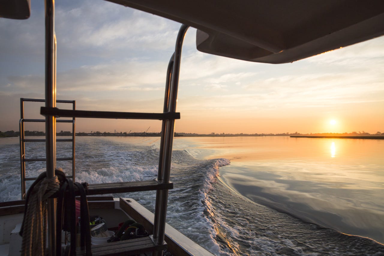 The Daredevil Divers of Wreck Valley - by MaryAlice Parks