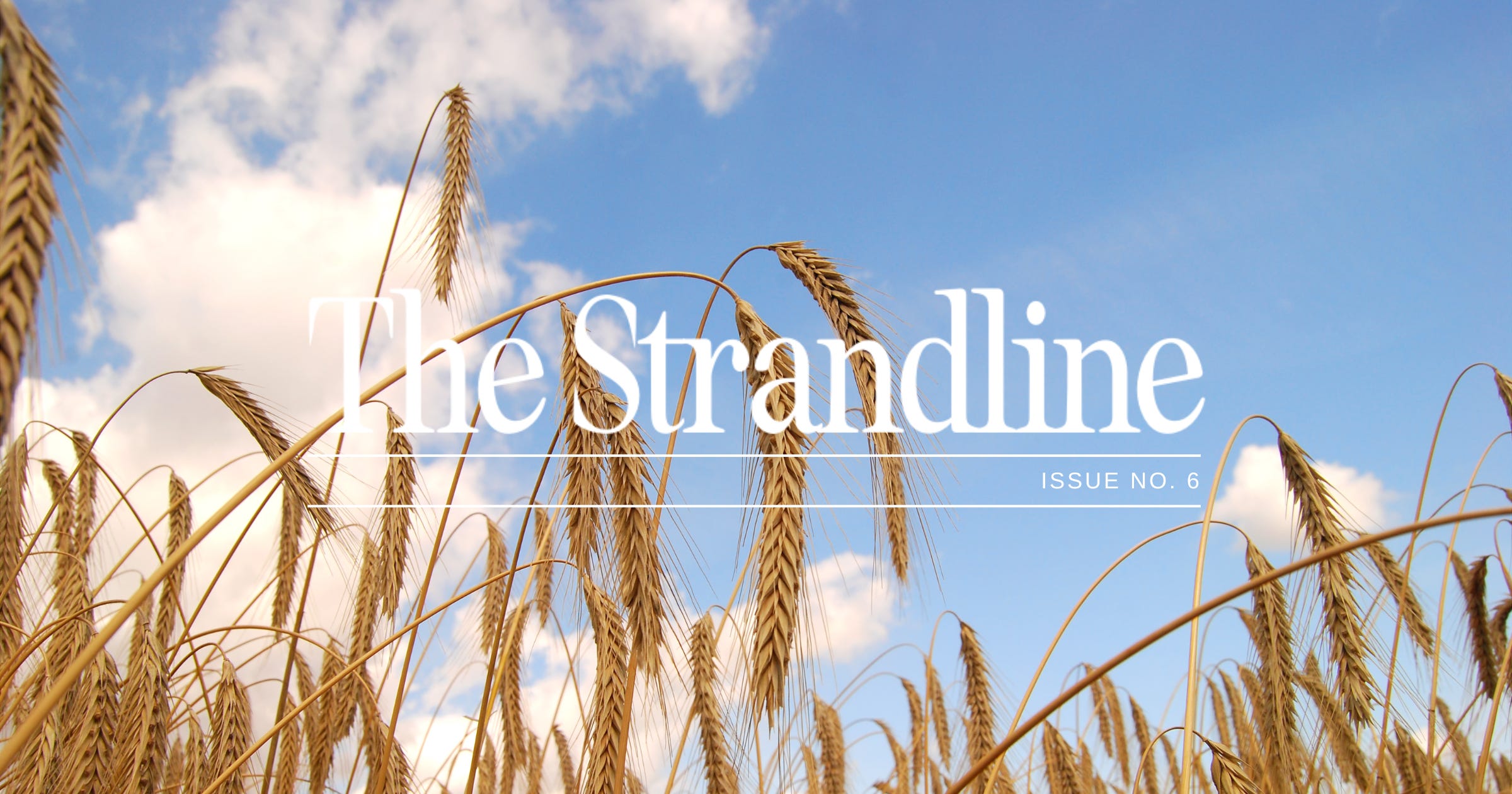 No. 6 - Grasses - by Emma Fanning - The Strandline