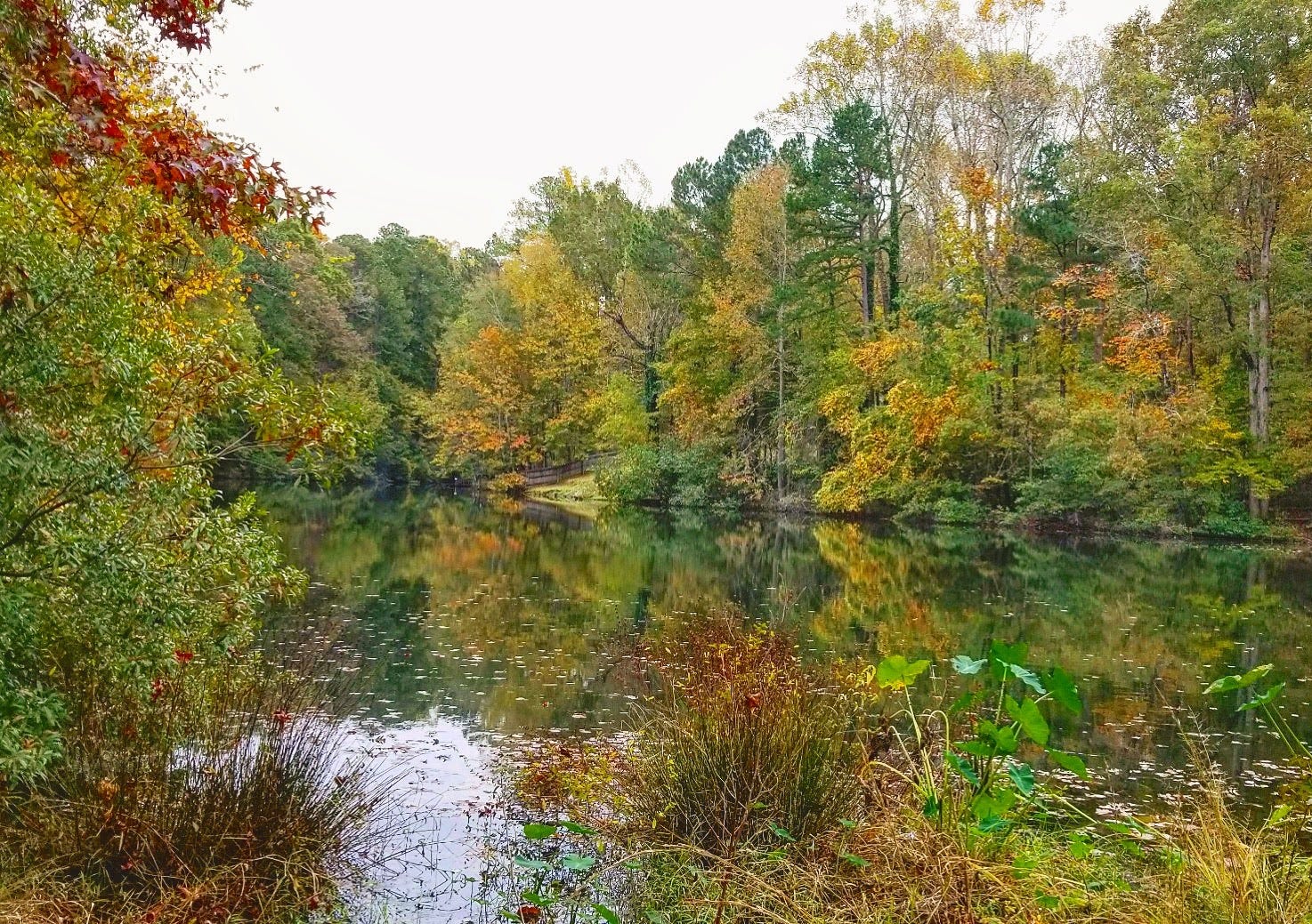 Week 13: Corporate Numbers, An Apology, and An Update.