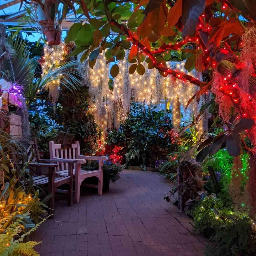 Your 2024 Holiday Spirit Guide