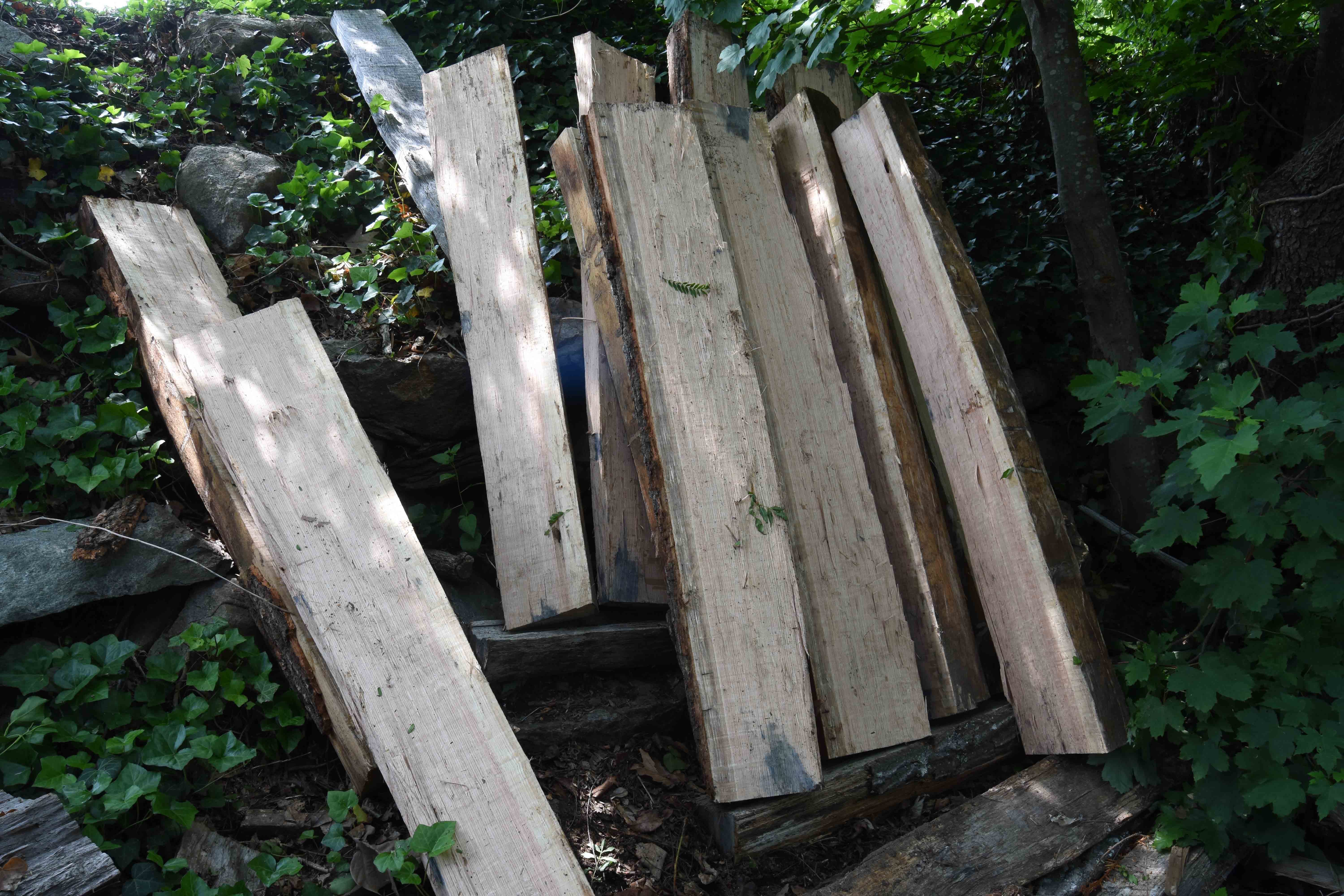 New oak log - by Peter Follansbee - Follansbee's Substack