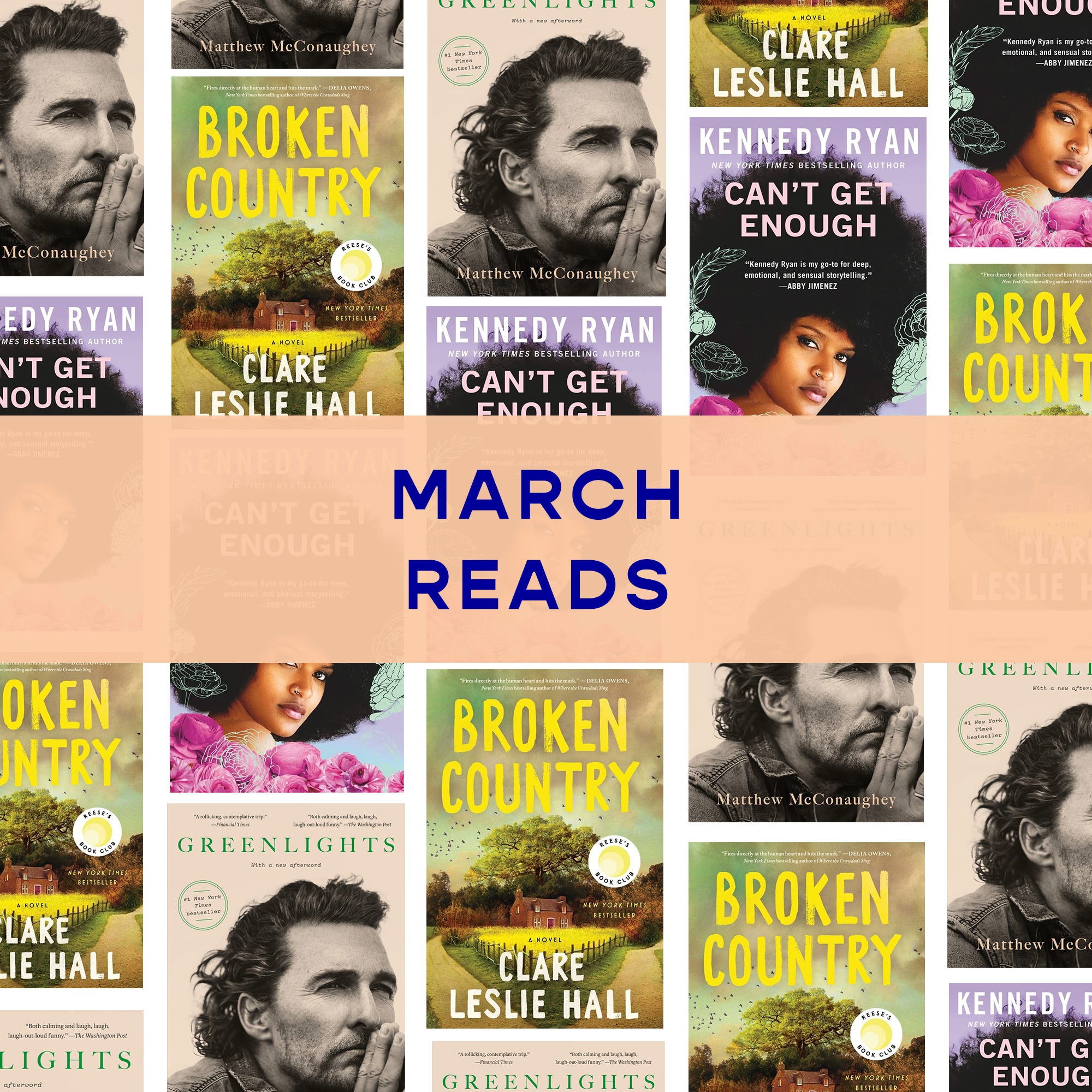 Book Report Vol. 15 - by Becca Freeman - Book Enthusiast