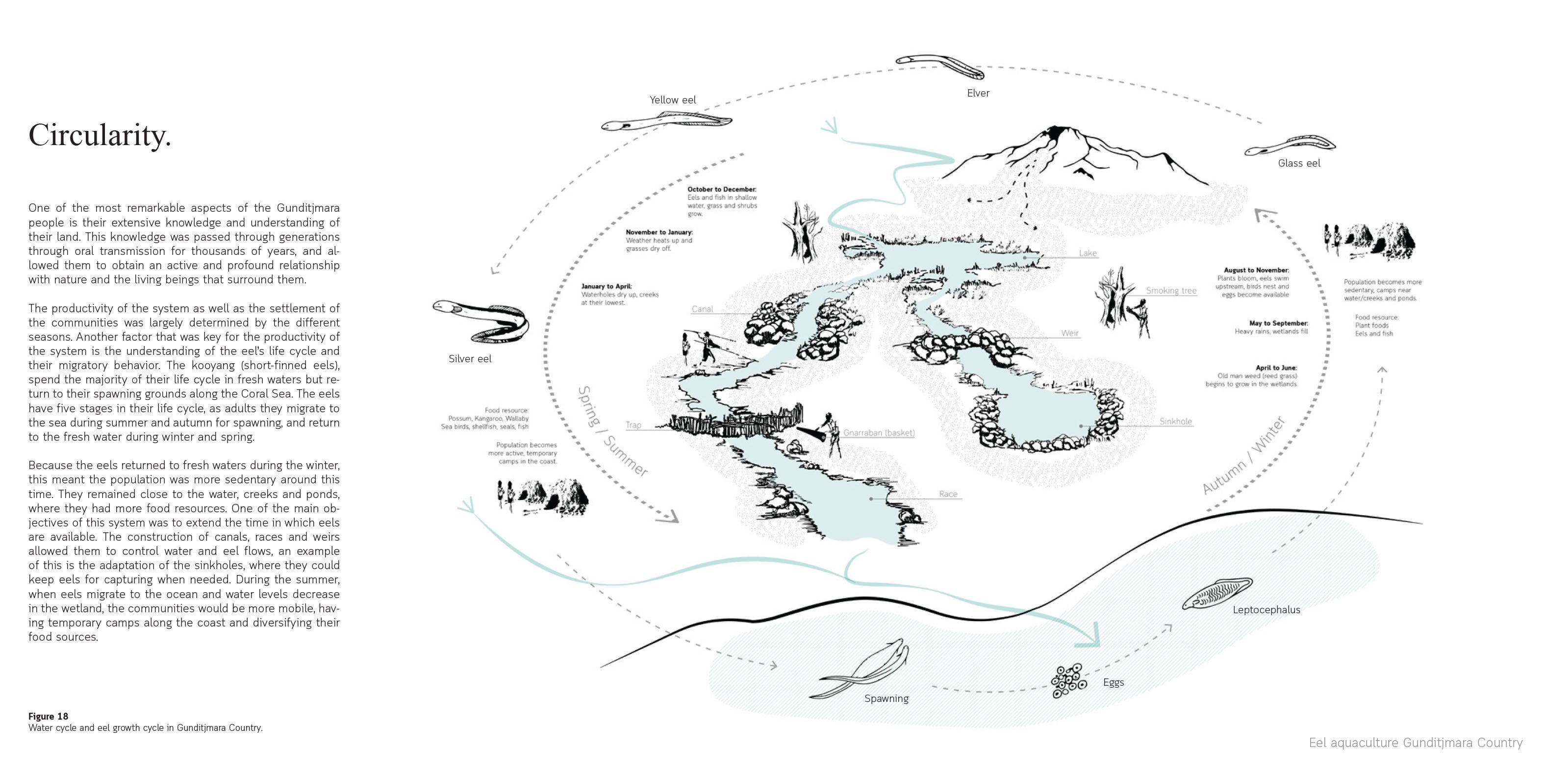 Regenerative Ocean Gardening, Kelp Farming and Marine Permaculture