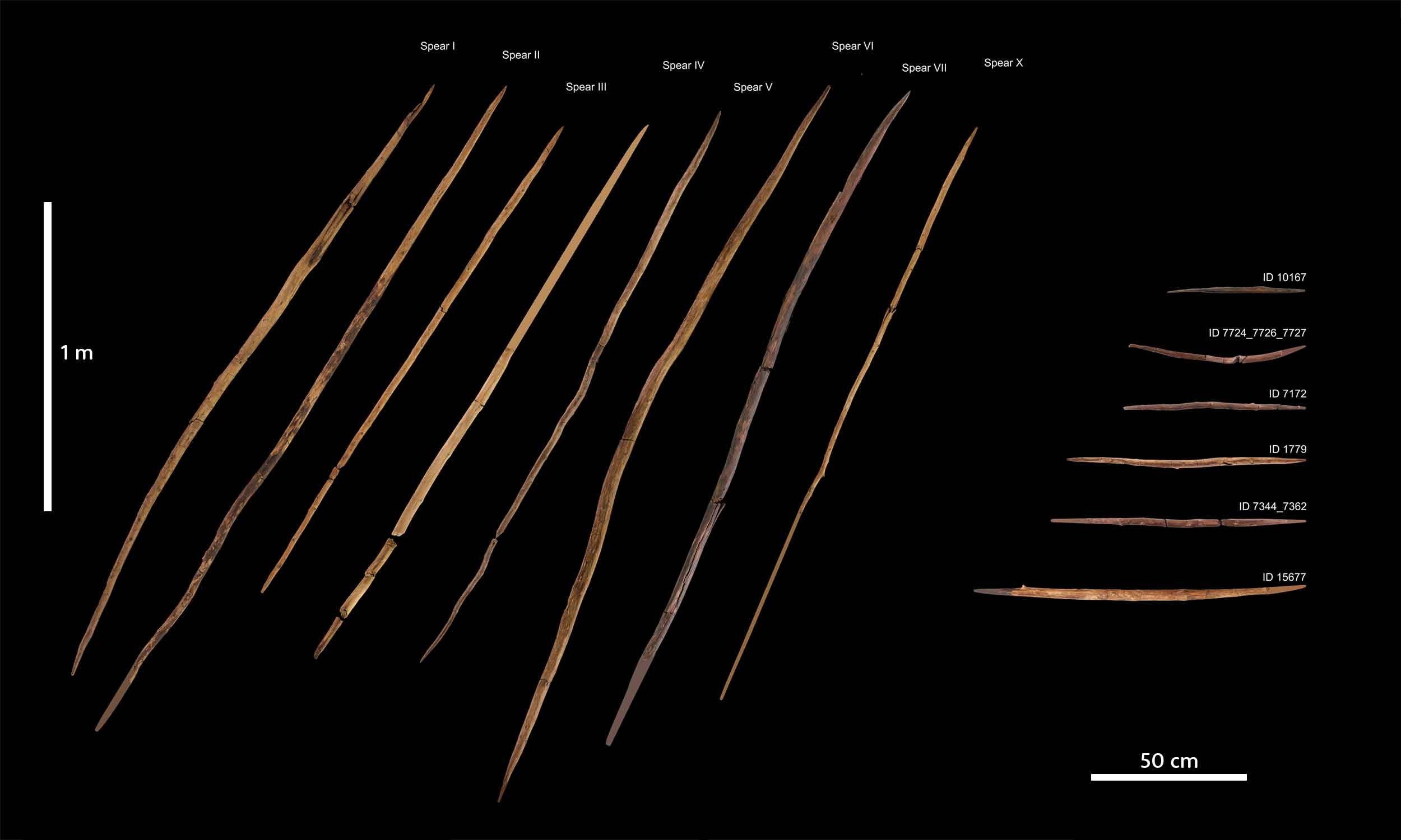 Four amazing Stone Age sites with wooden artifacts