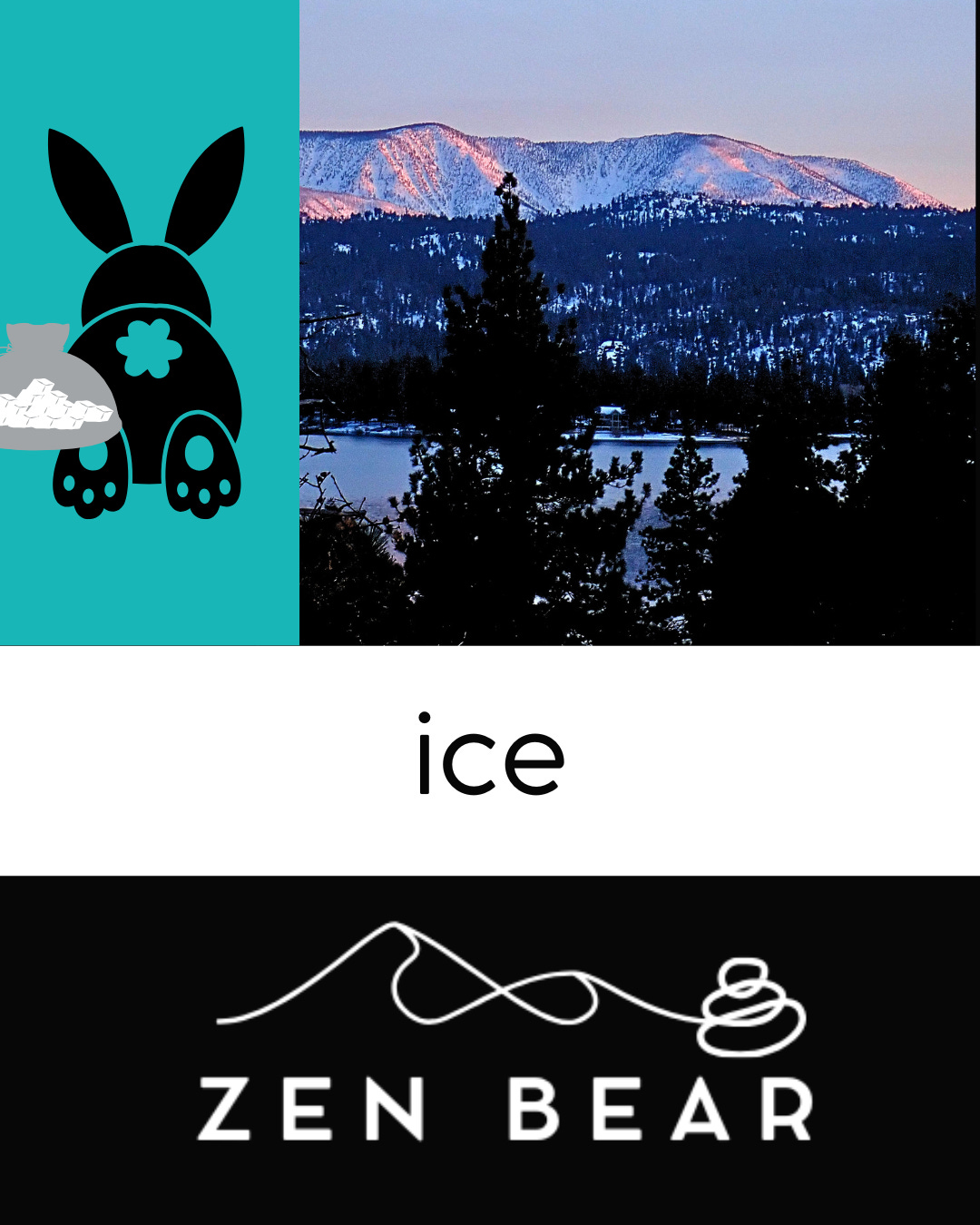 First Days of Spring! - Snow Bunny Box Jumps and Eating… Shhh - RICE