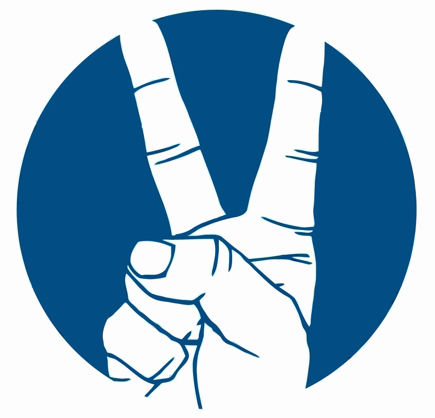 Victory Briefs | Substack