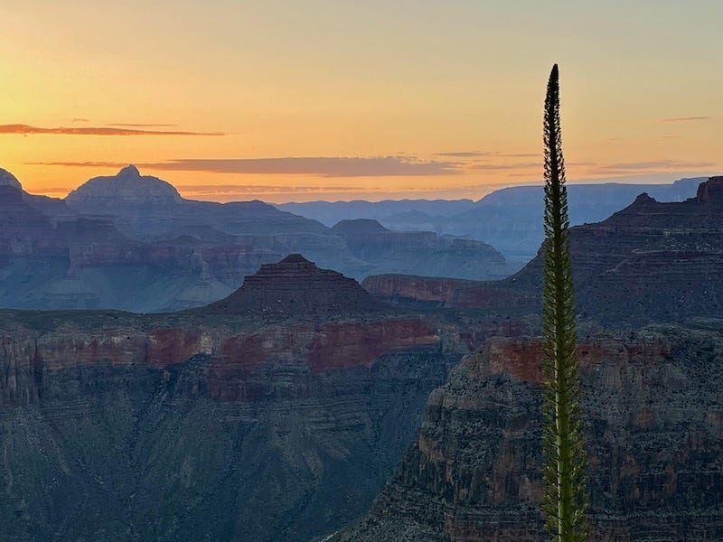 A Magical Modified R2R2R - by Sarah Lavender Smith