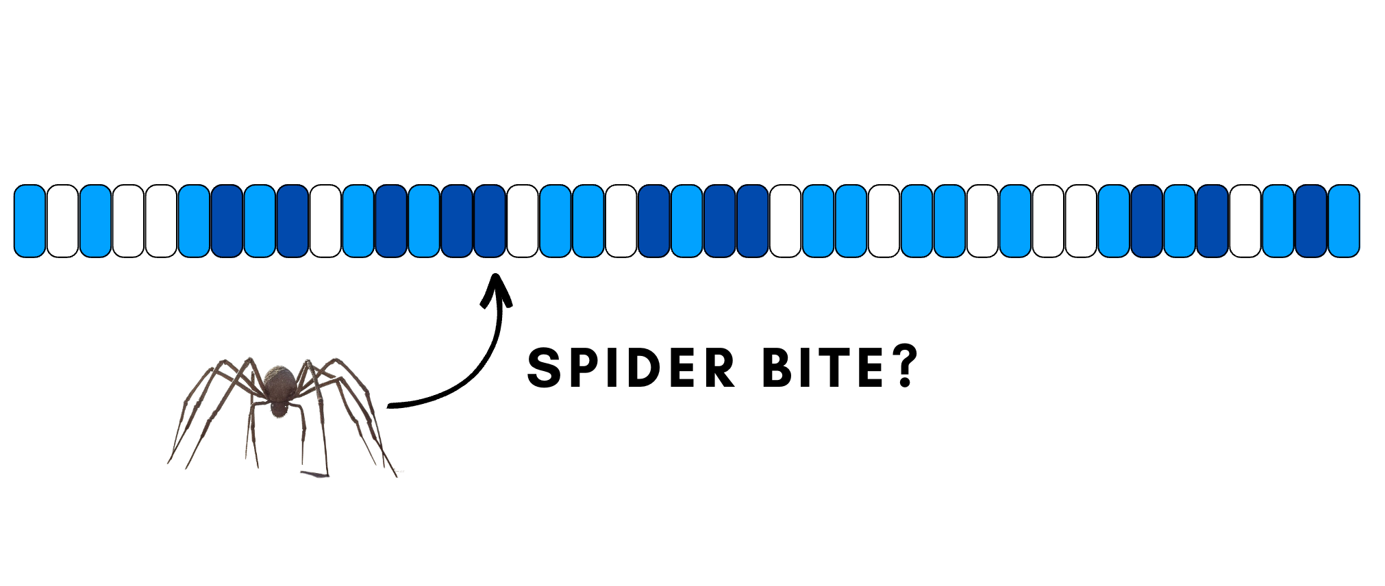 Three Essential Strategies to Transform Business Observability Using a ...