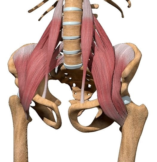 ATG Physical Fitness Program - by Ben Patrick