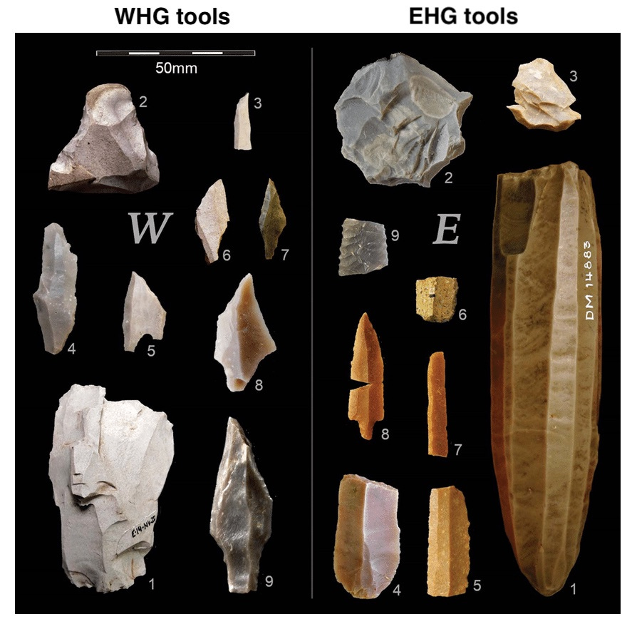 After the Ice: how foragers and farmers conquered Scandinavia