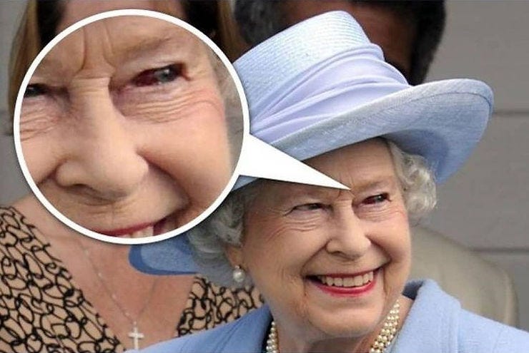 The Executed: Clones, Doubles, & Vril Lizard Reptilian Parasites