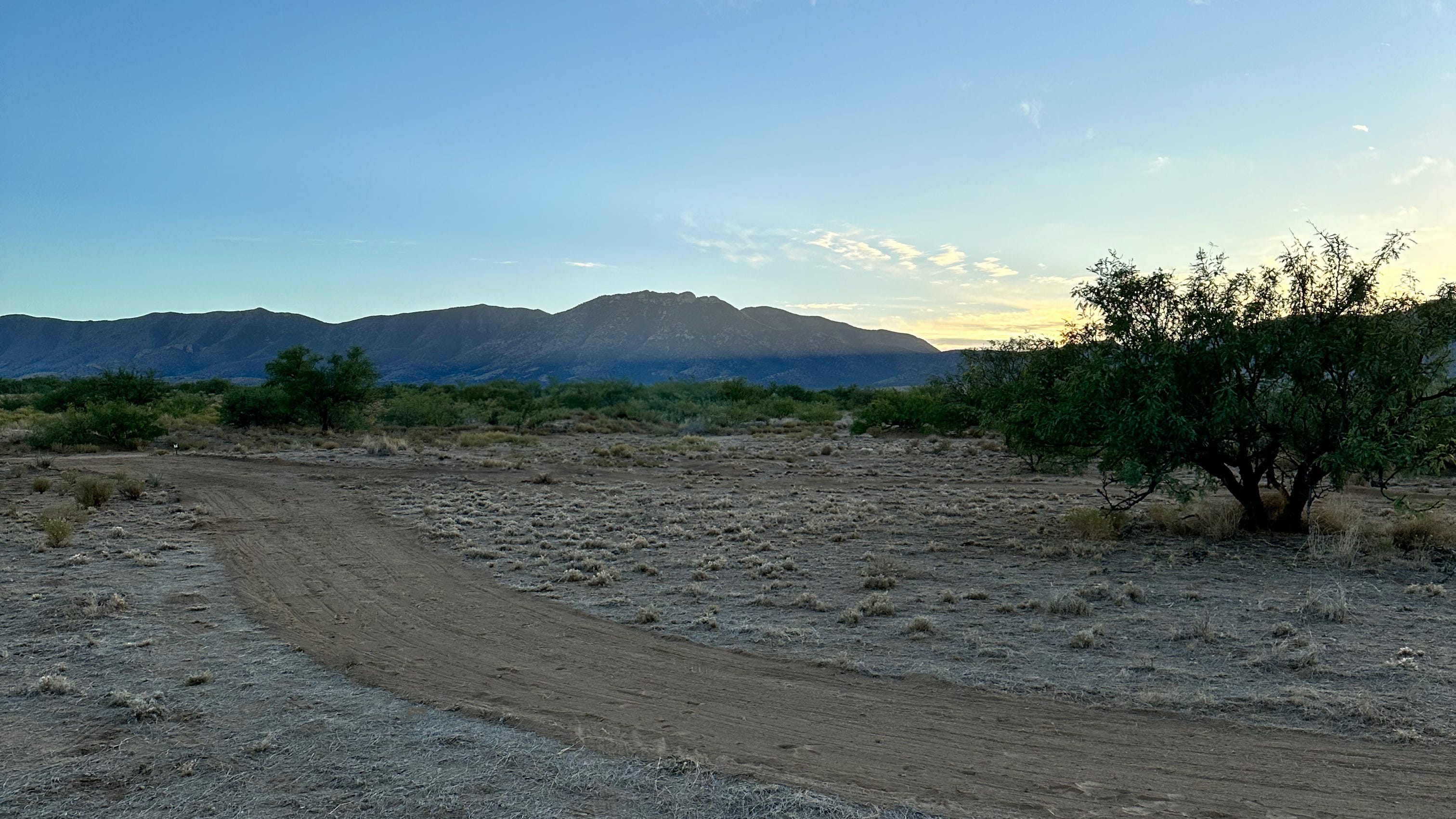 Cochise Arizona Oasis: On our second visit, we begin improving the land