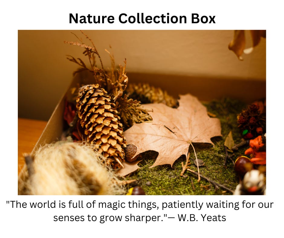 Nature Collection Box: Turn Your Child's Finds into Treasures