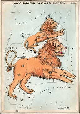 Introducing the Decans of Leo – True Tarot Tales