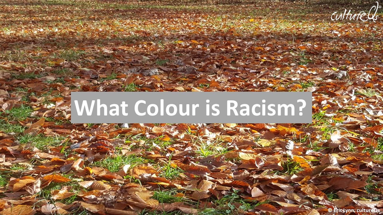 What colour is racism? - by Eric Lynn - Undefining