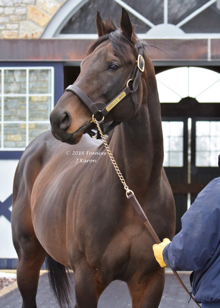 Uncle Mo hits 100 stakes winners