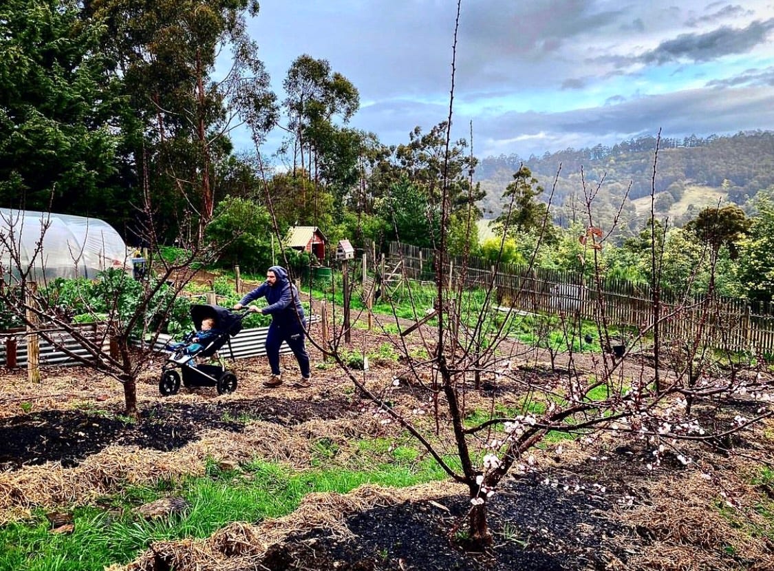 The Orchard Guide - The Garden at Moorfield