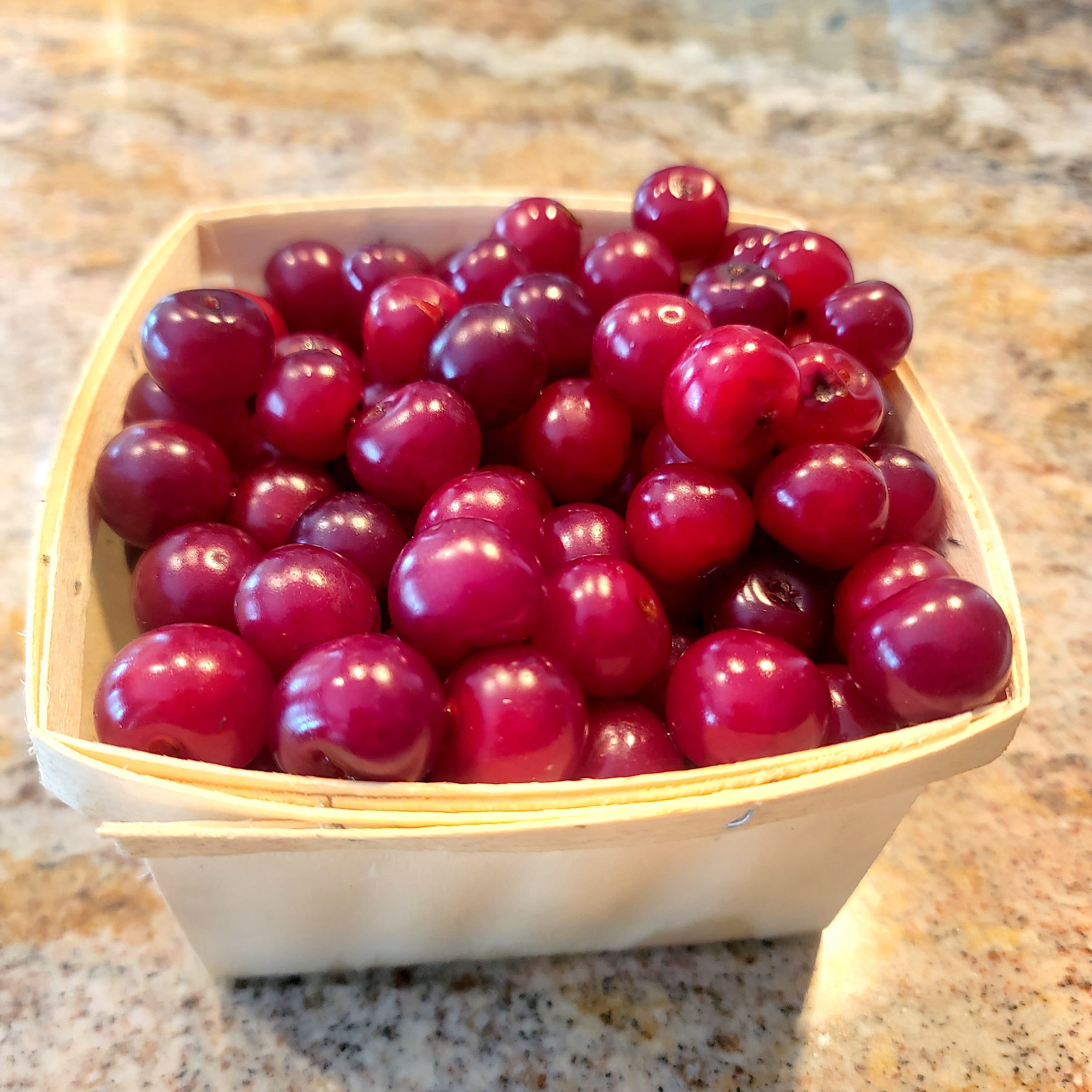 The 10 States of Chicago's Pizza Nation - by Bob Benenson