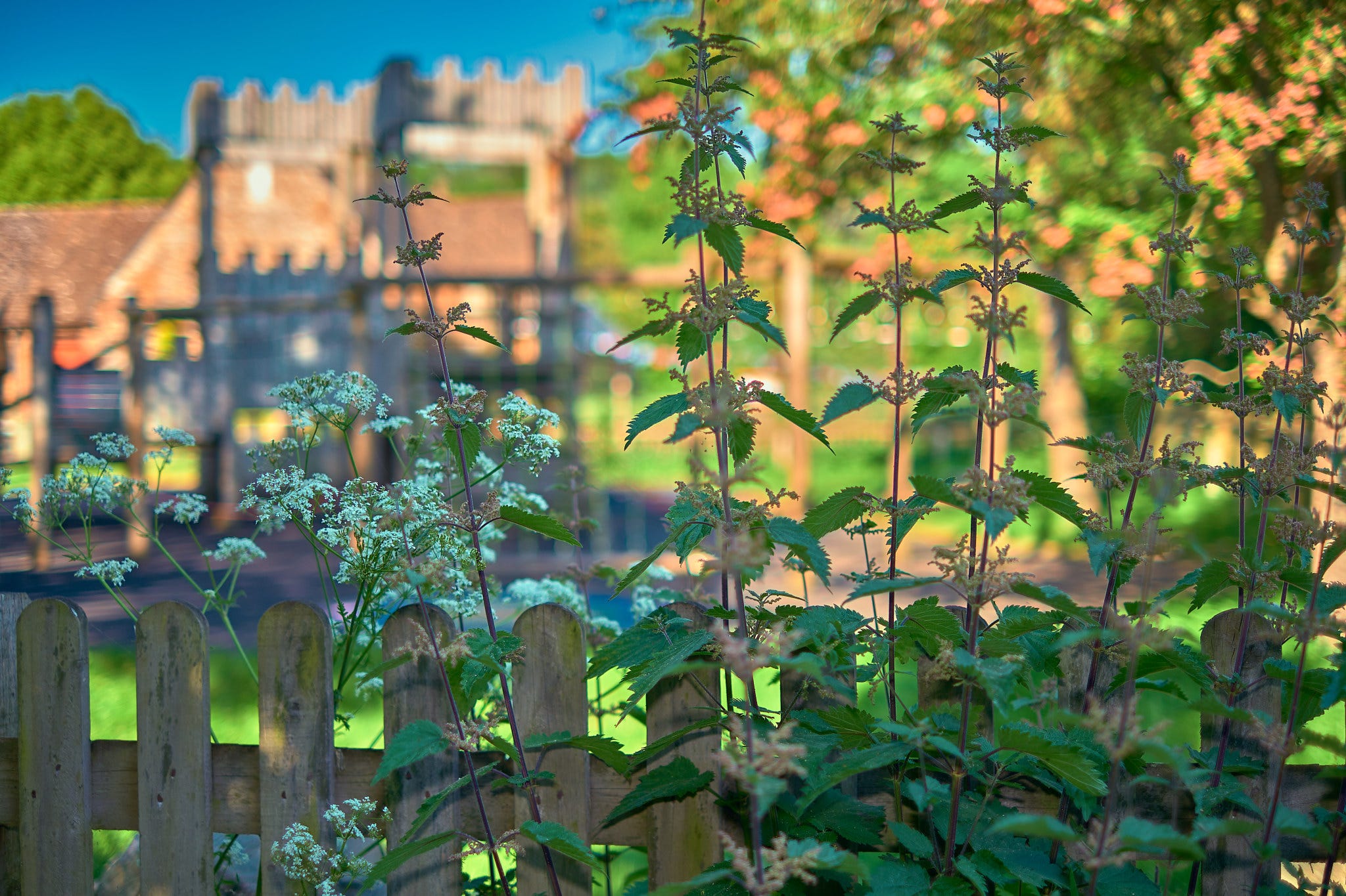 Sin and the (false) sovereign - by Martin Geddes