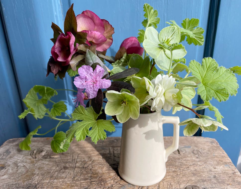 Garden Gram 1: Making a Hellebore Posy - by Susie Middleton