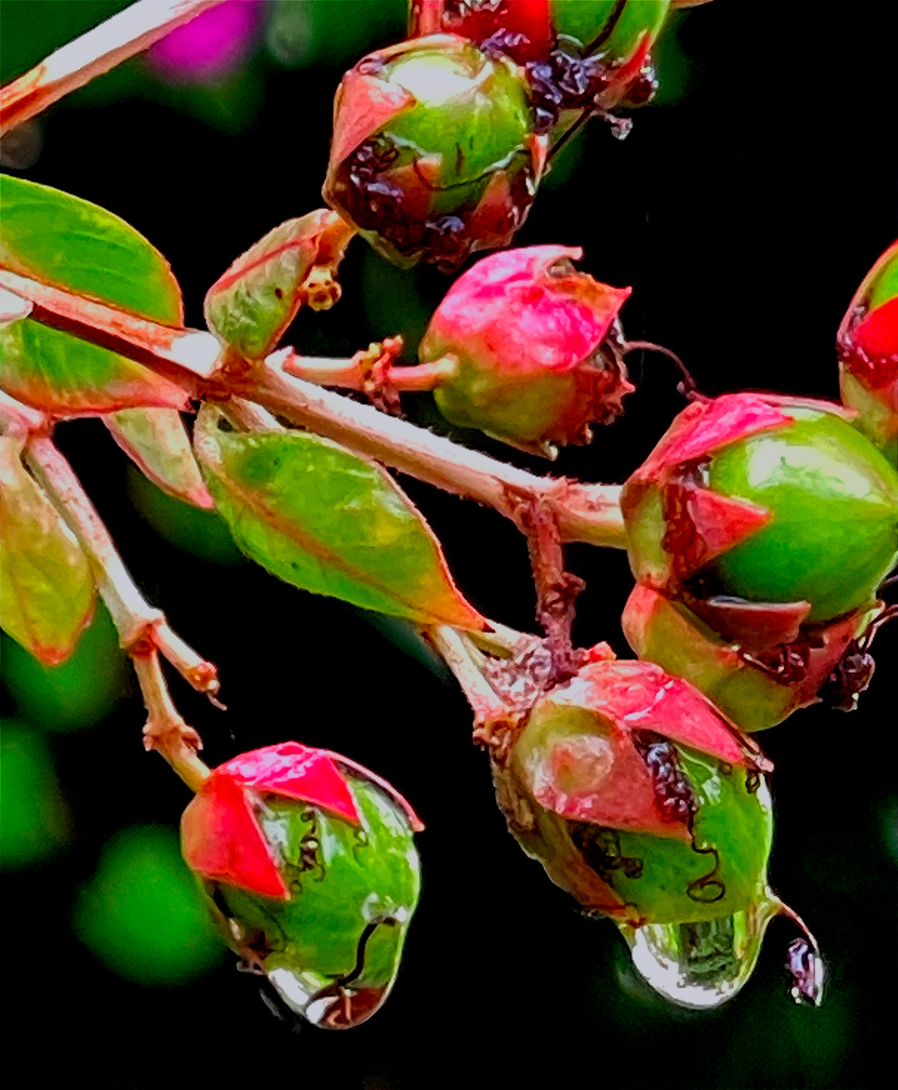 Rain Jackets - by Bev Levine - Bev’s Substack