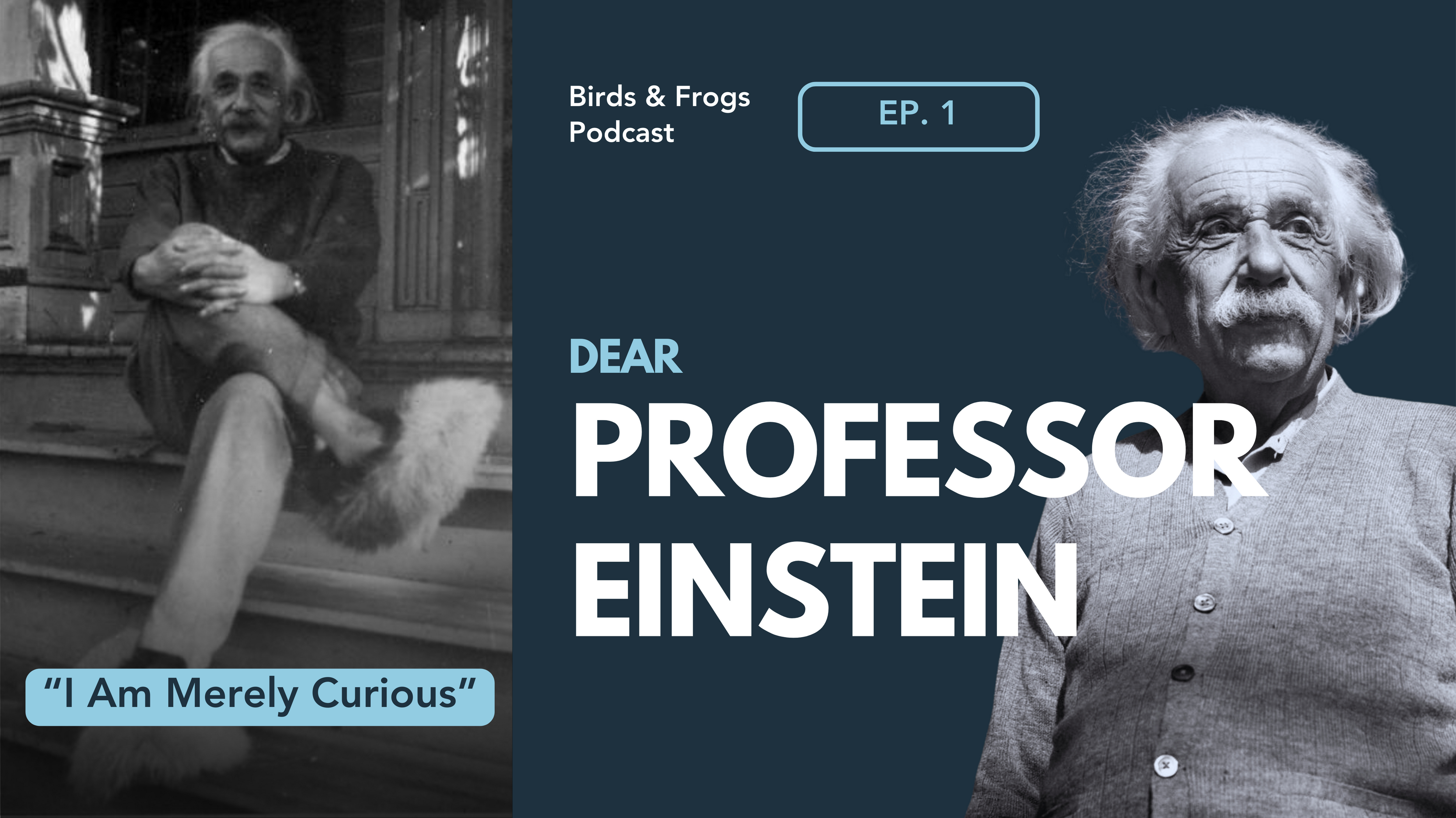 #1 Albert Einstein (Dear Professor Einstein)