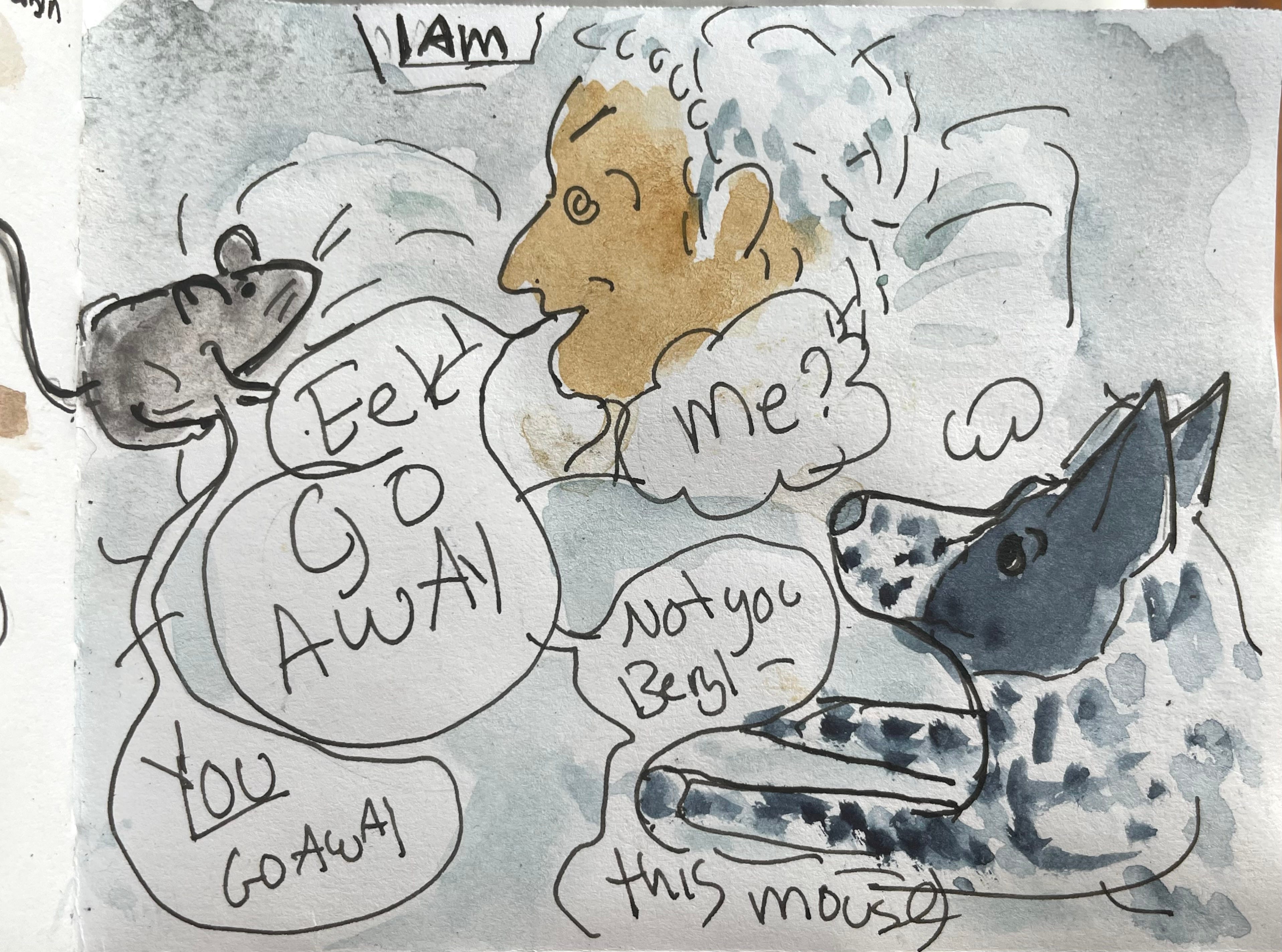 of mosquitoes, mice and milkweed - by Sarah C Swett
