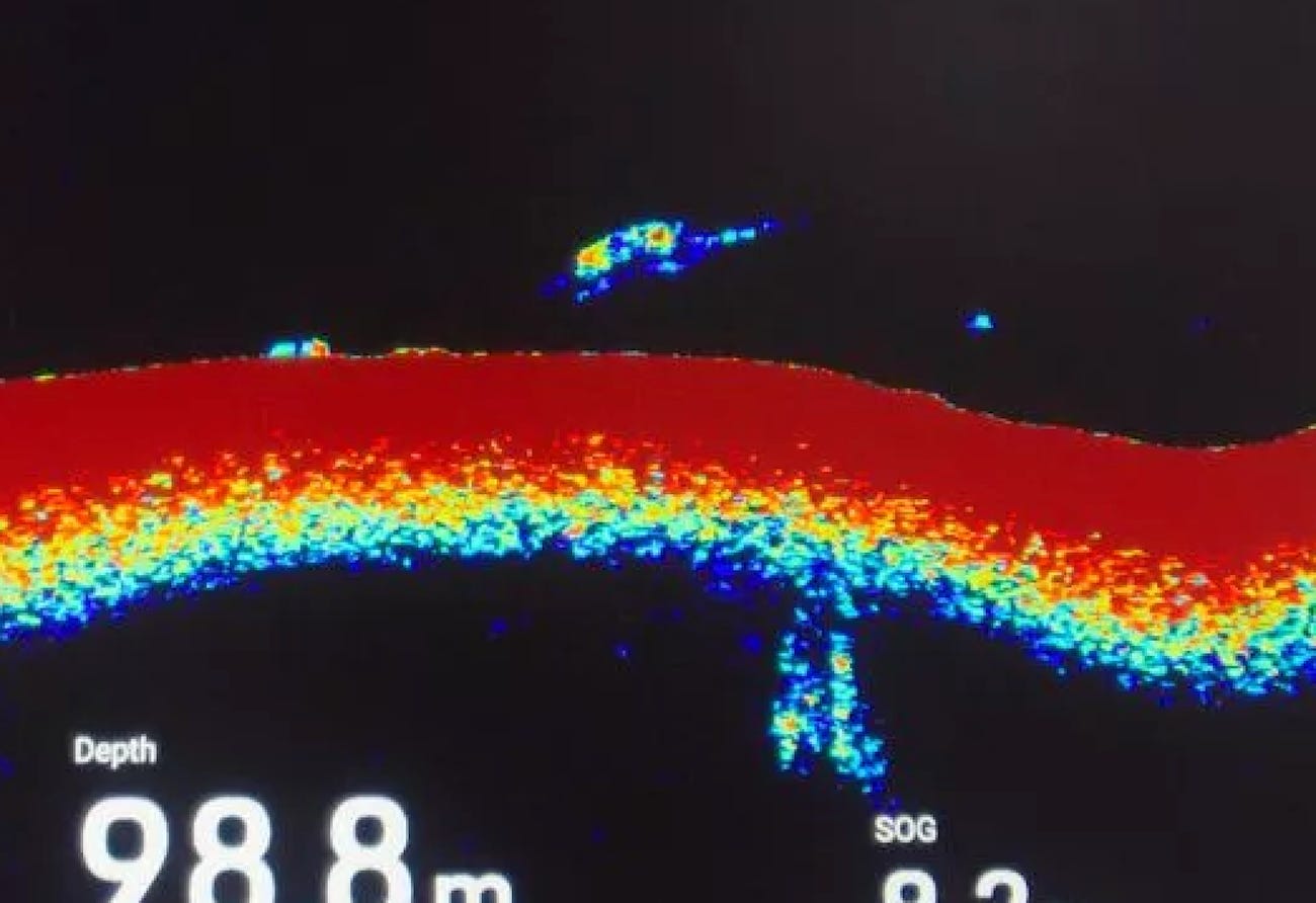 This remarkable sonar image may depict the Loch Ness Monster