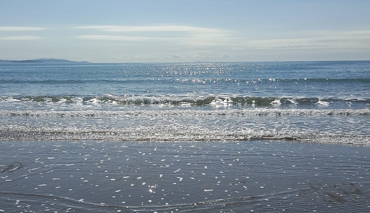 The Seed Disperser | Kereru Publishing | Substack