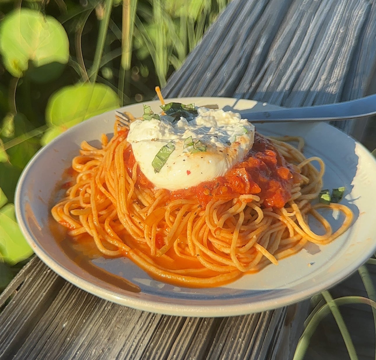 HOMEMADE BURRATA - by Ali Lizzi - Ali’s Substack